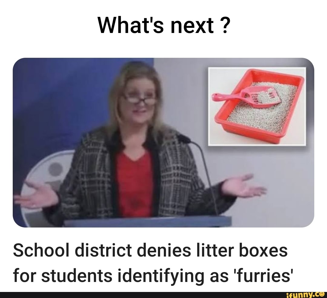 What's next ? School district denies litter boxes for students ...
