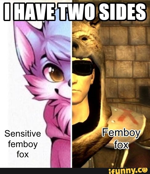 Fox memes. Best Collection of funny Fox pictures on iFunny