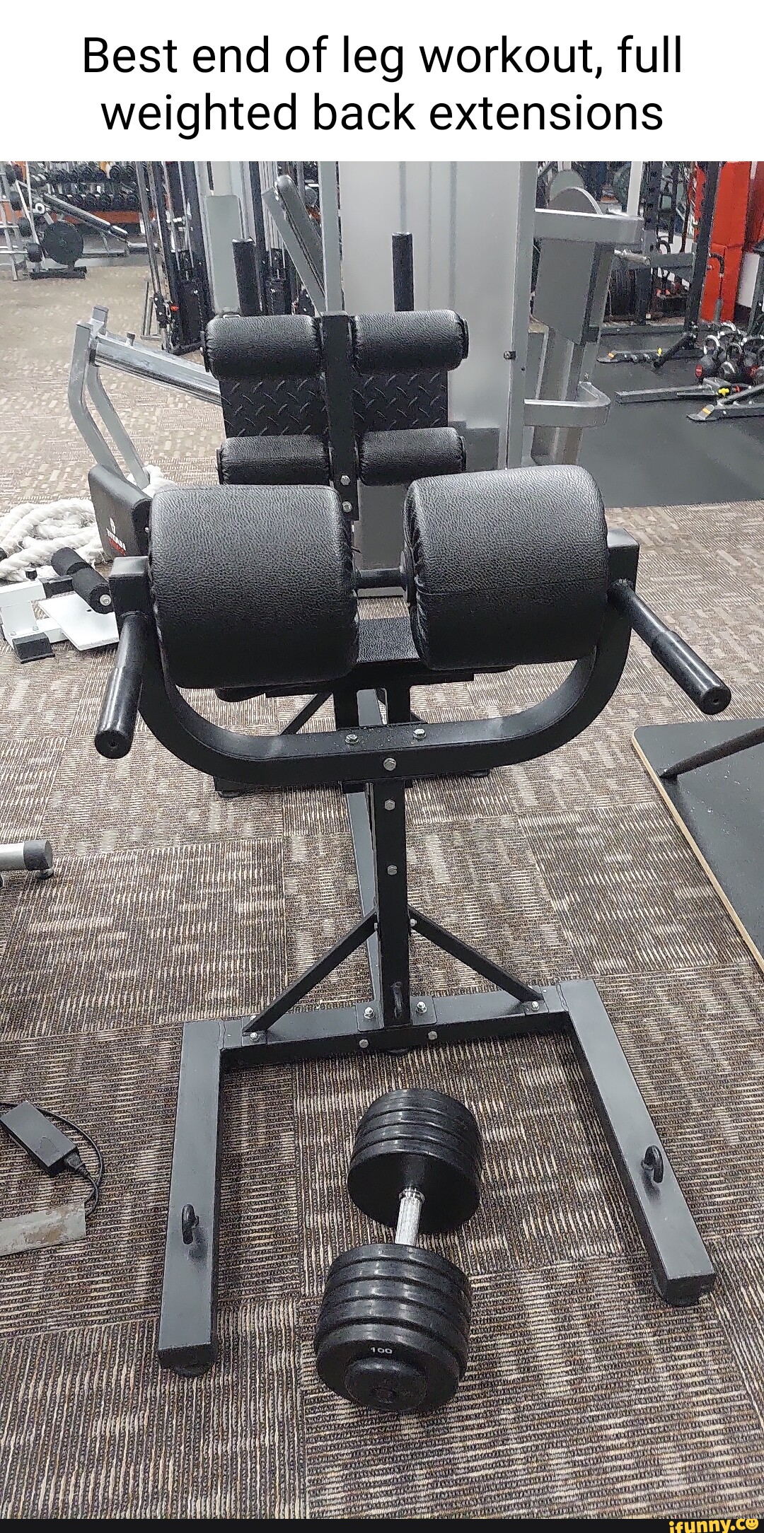 Weighted Back Extensions