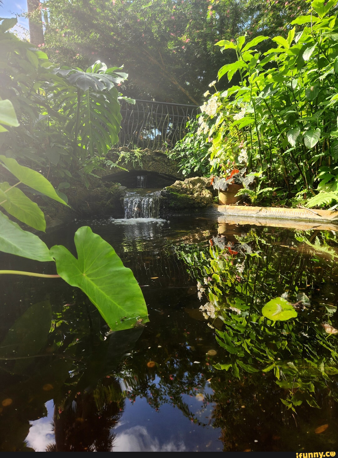 Sunken memes. Best Collection of funny Sunken pictures on iFunny