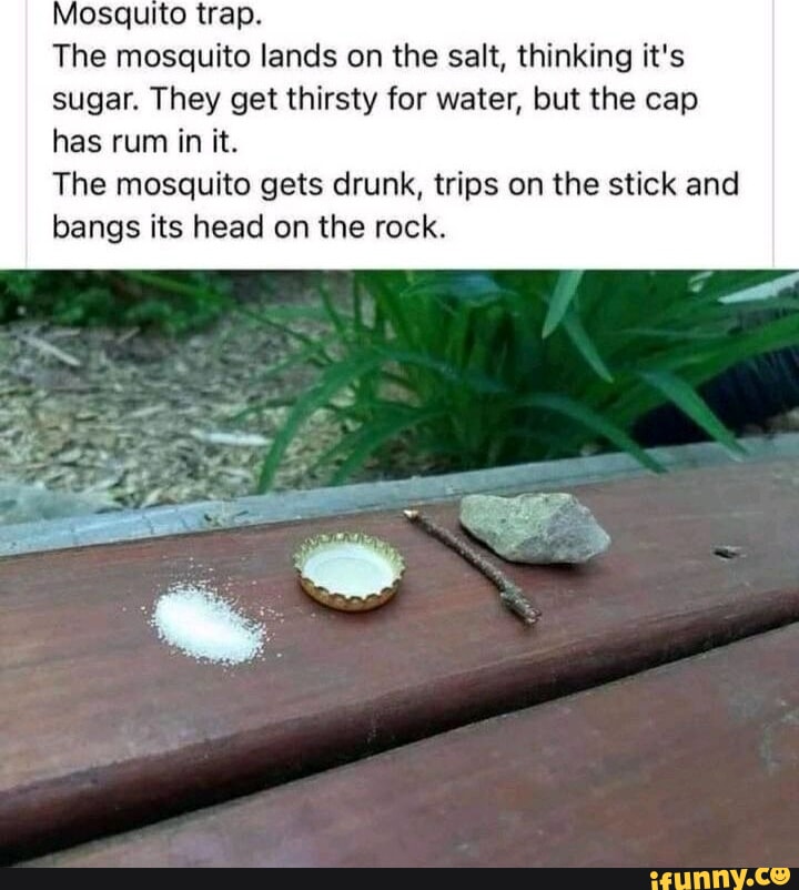 Mosquito memes. Best Collection of funny Mosquito pictures on iFunny