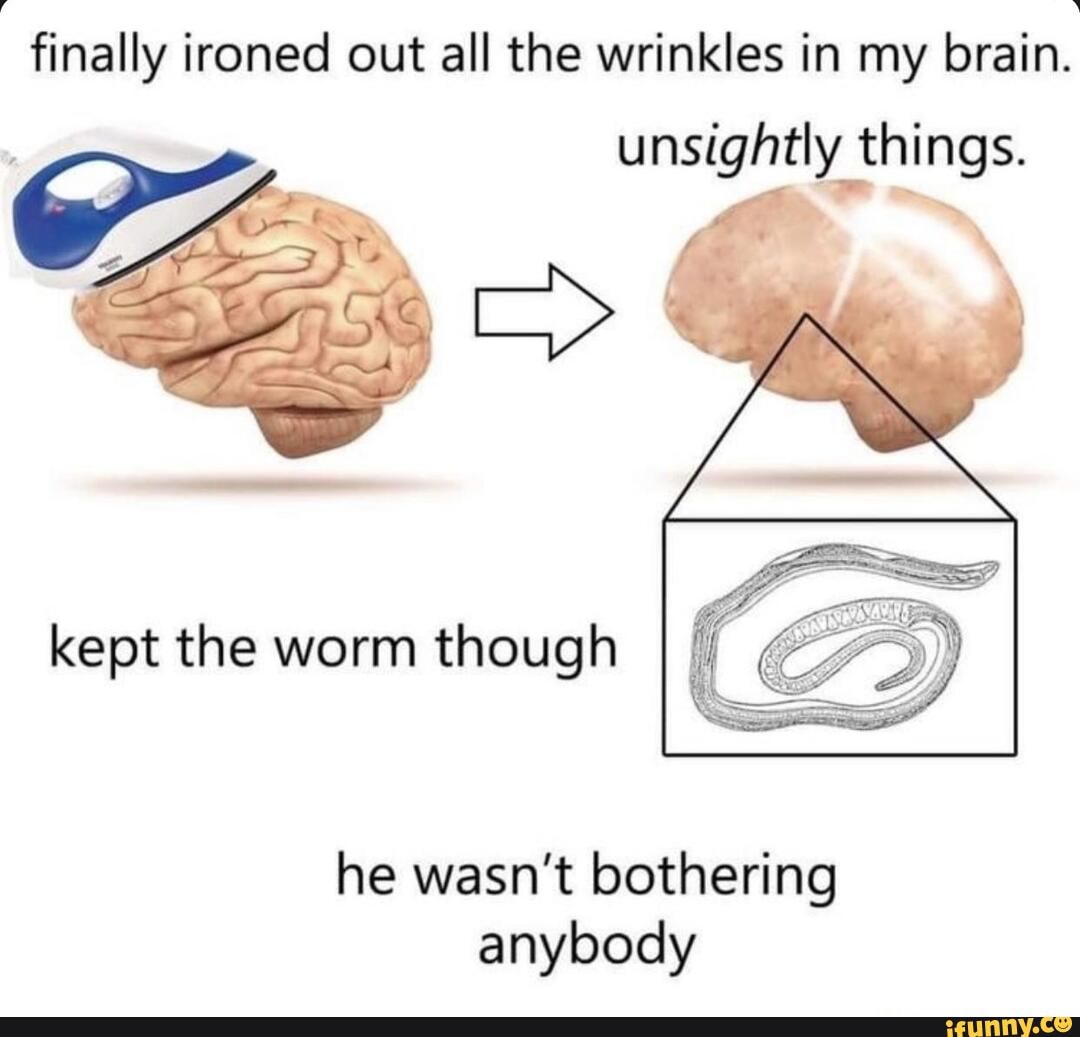 Finally ironed out all the wrinkles in my brain. he wasn't bothering ...