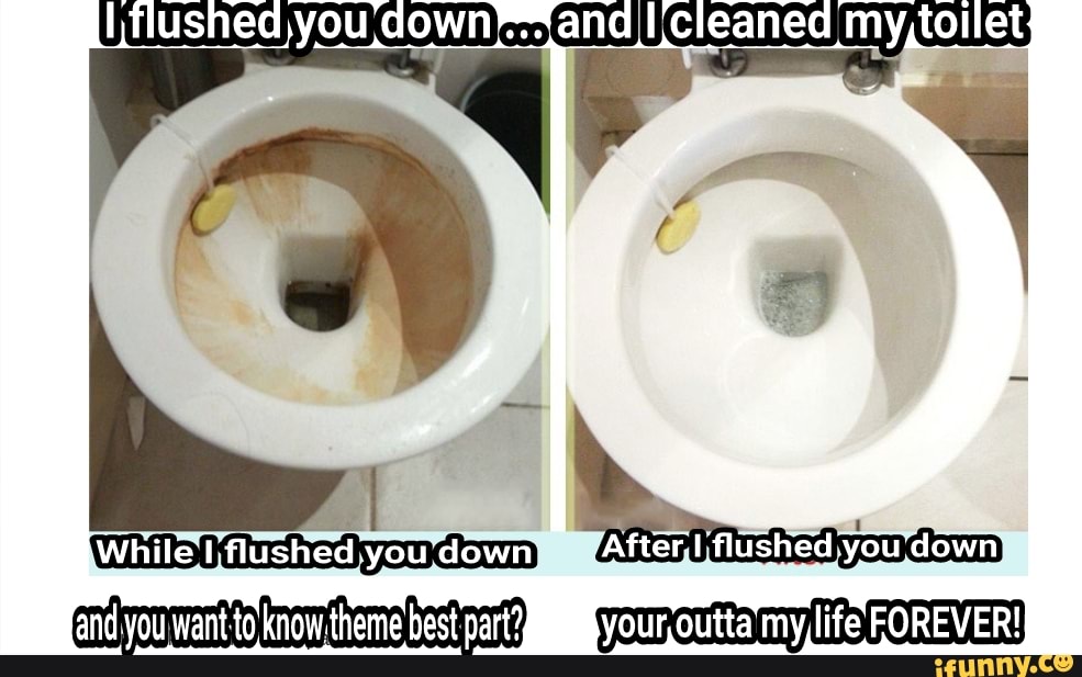Flushed memes. Best Collection of funny Flushed pictures on iFunny