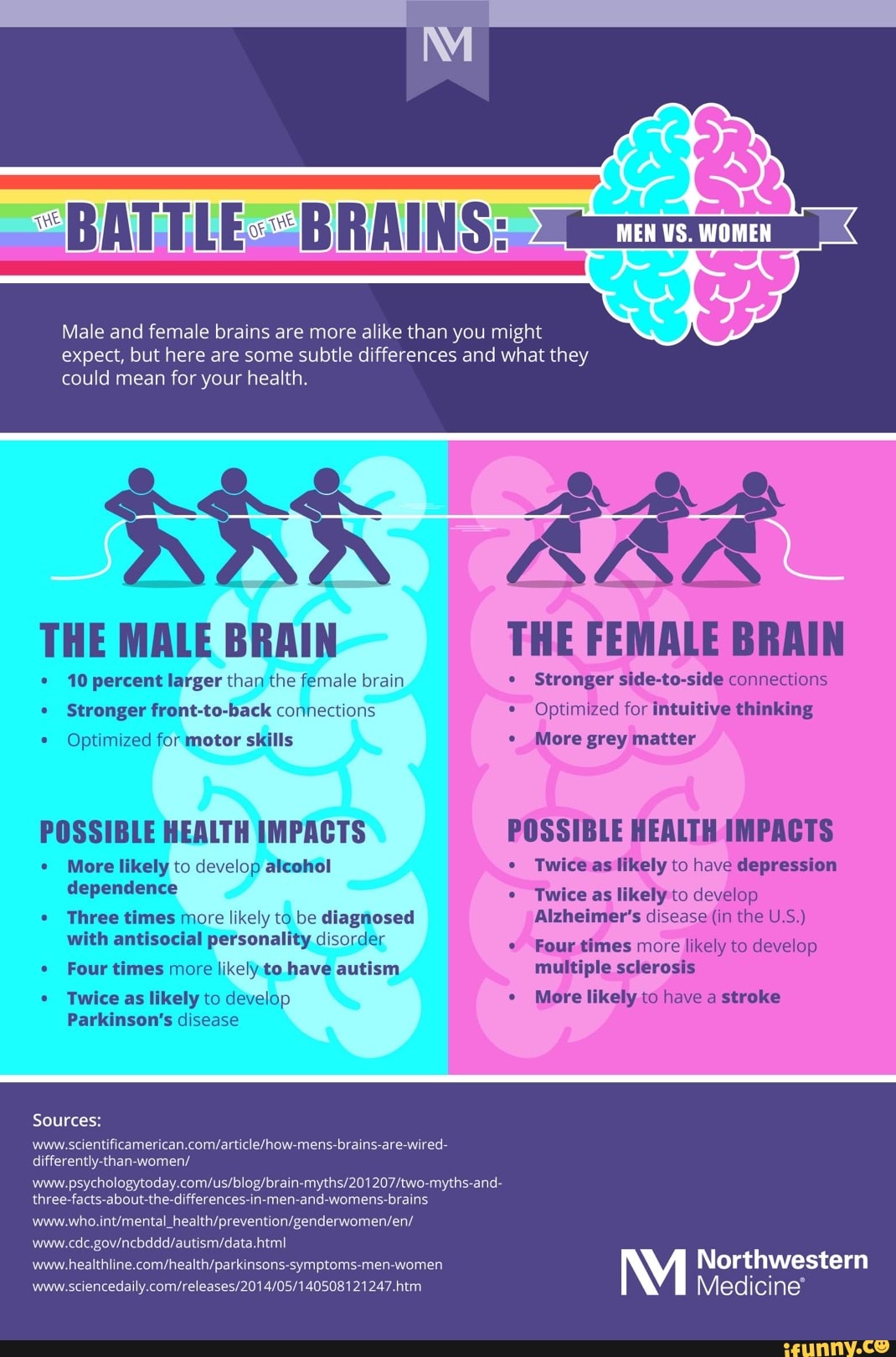 Male and female brains are more alike than you might expect, but here ...