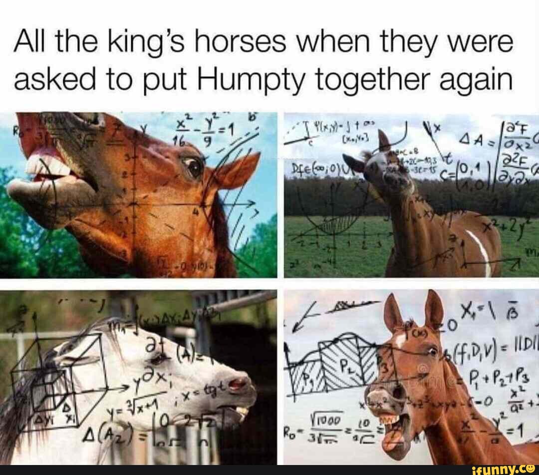 Horses memes. Best Collection of funny Horses pictures on iFunny