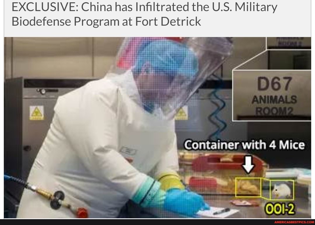 EXCLUSIVE: China has Infiltrated the U.S. Military Biodefense Program ...