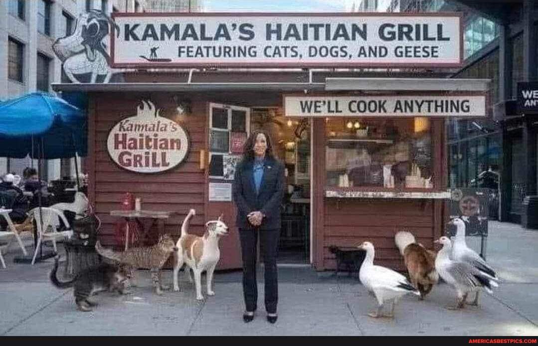 KAMALA'S HAITIAN GRILL ila GRILL FEATURING CATS. DOGS. AND GEESE WELL ...