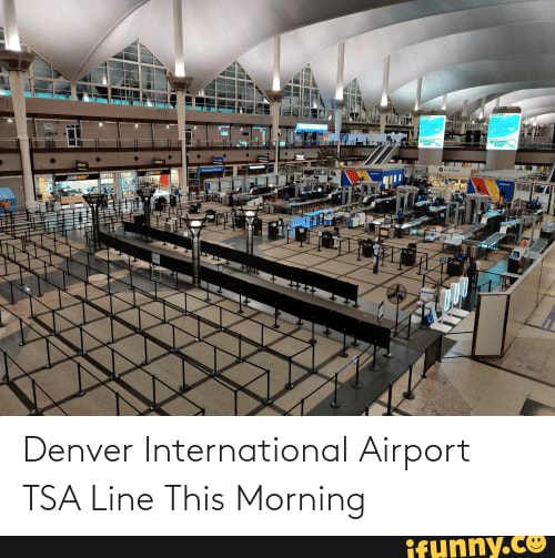 Denver International Airport TSA Line This Morning - Denver ...