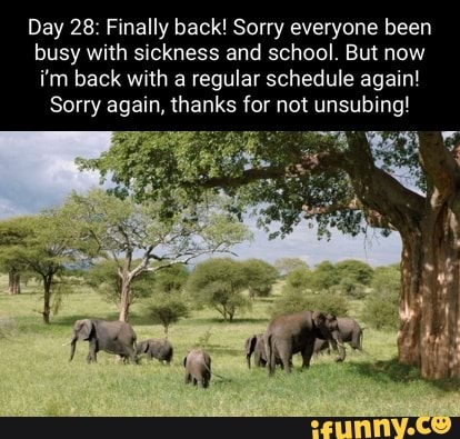 Unsubing memes. Best Collection of funny Unsubing pictures on iFunny
