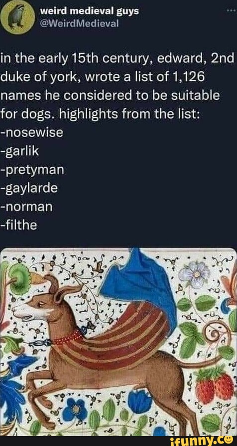 Weird medieval guys GWeirdMedieval in the early 15th century, edward ...