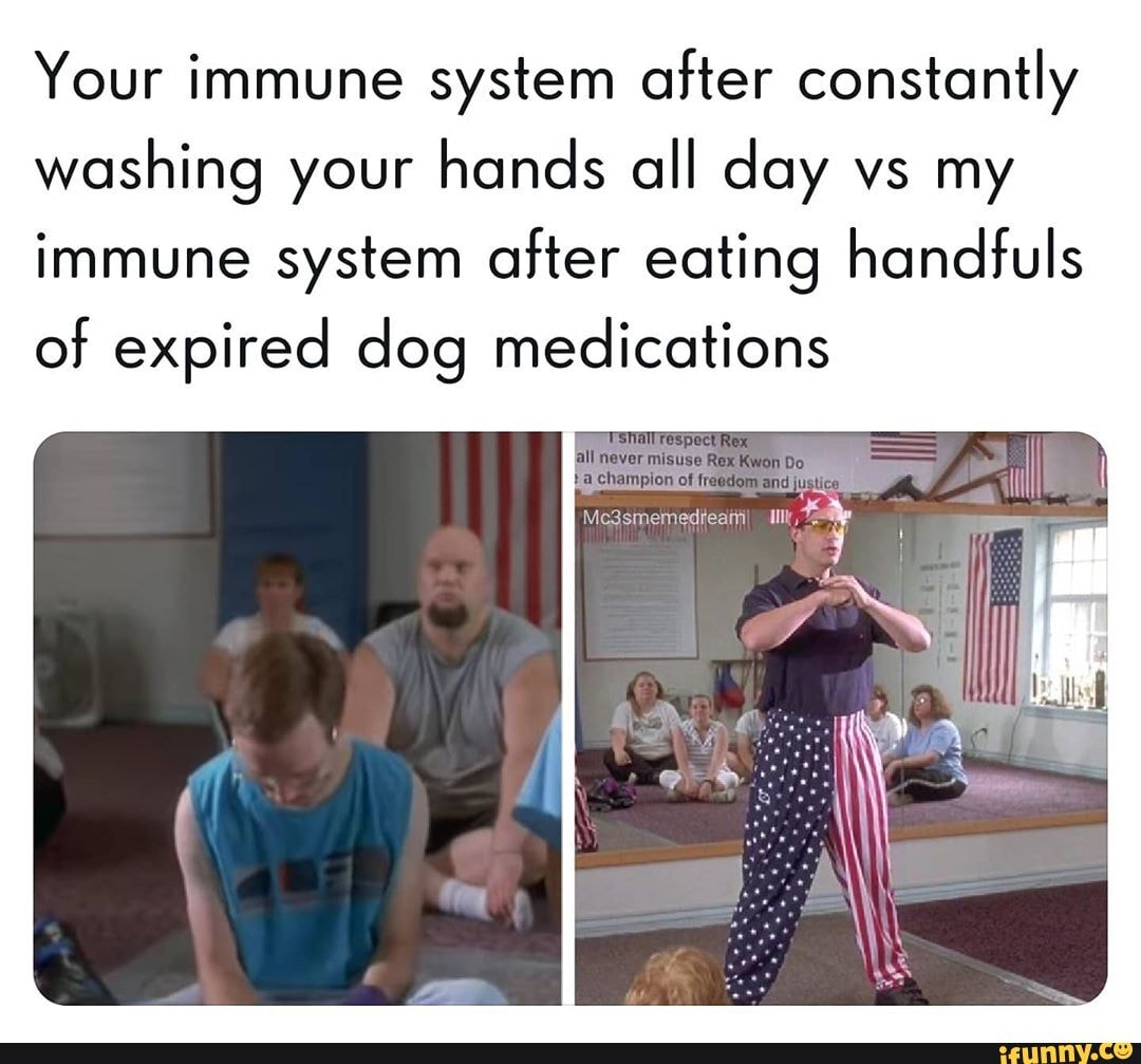Your immune system after constantly washing your hands all day vs my ...