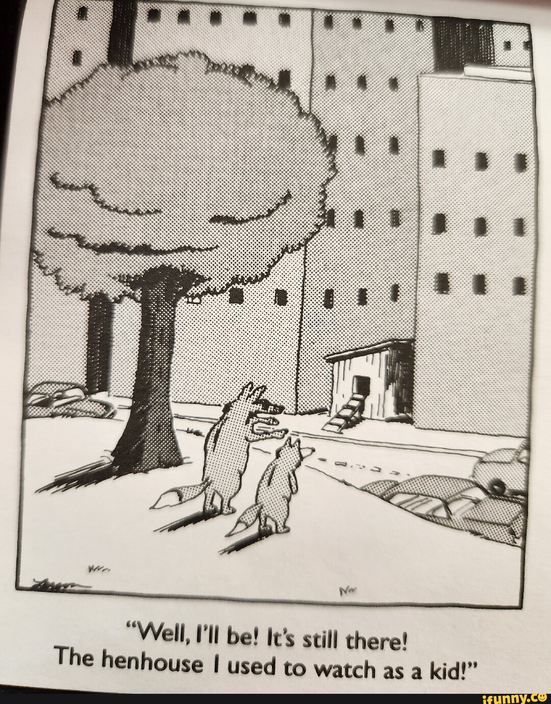 Henhouse memes. Best Collection of funny Henhouse pictures on iFunny