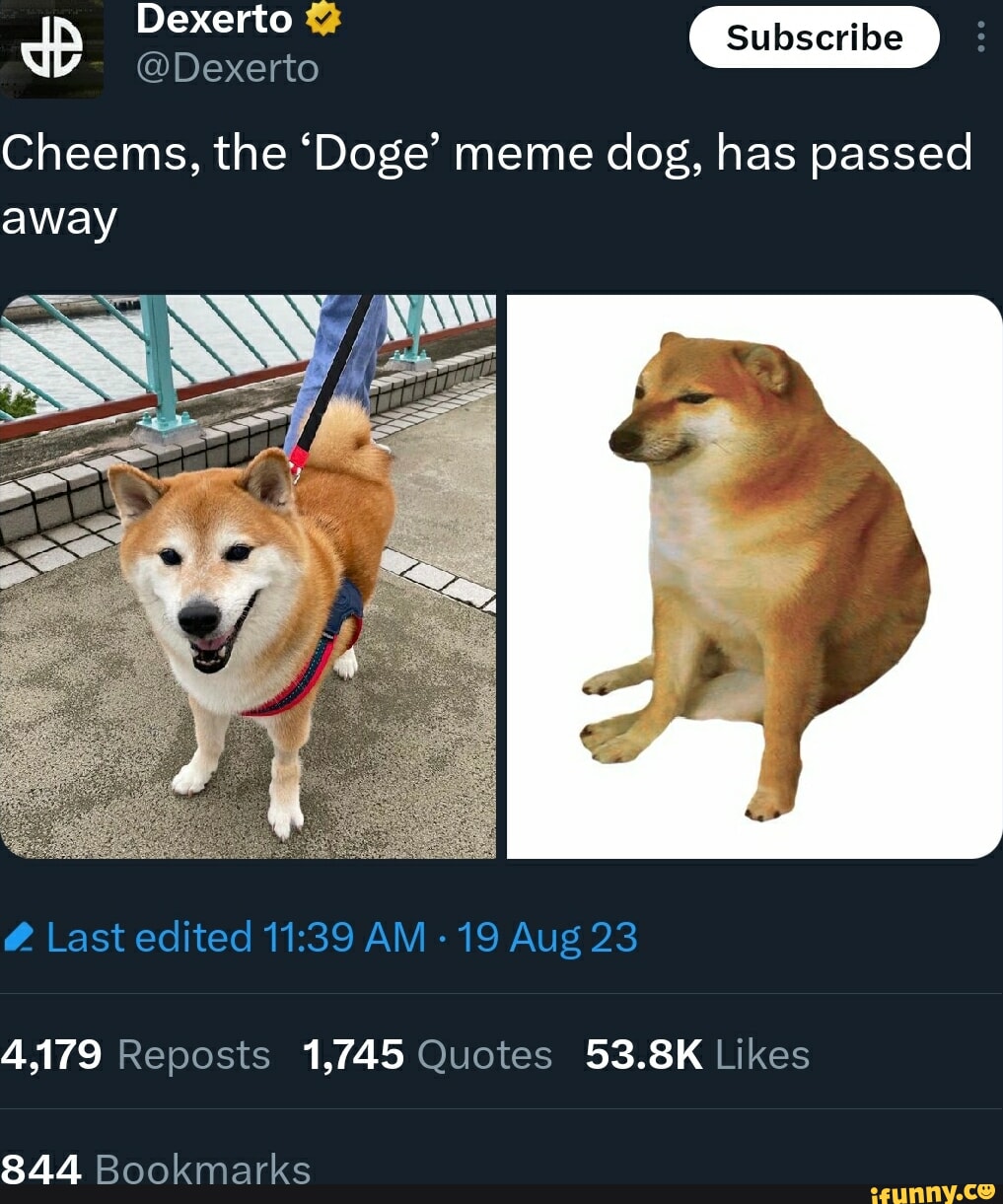 @Dexerto Cheems, the 'Doge' meme dog, has passed away @ Last edited AM ...