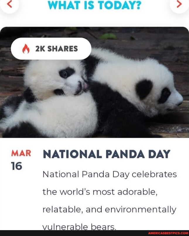 IS SHARES MAR 16 NATIONAL PANDA DAY National Panda Day celebrates the ...