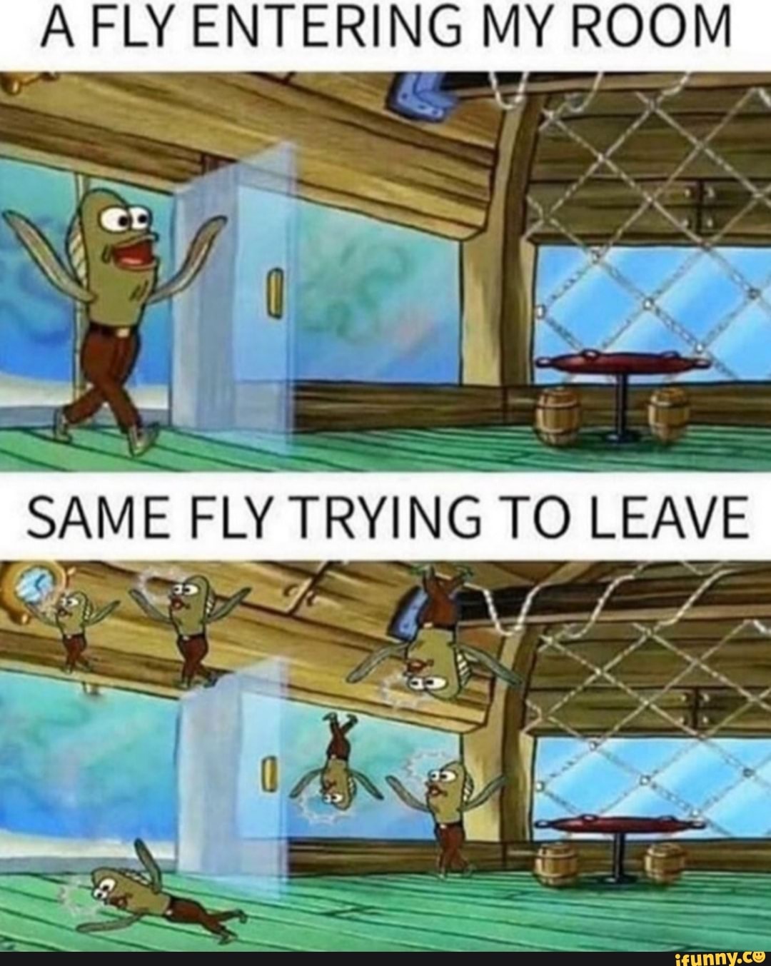 A FLY ENTERING MY ROOM SAME FLY TRYING TO LEAVE ig - iFunny
