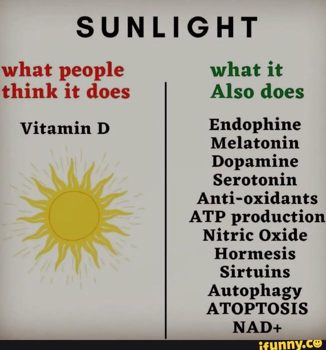 Melatonin memes. Best Collection of funny Melatonin pictures on iFunny