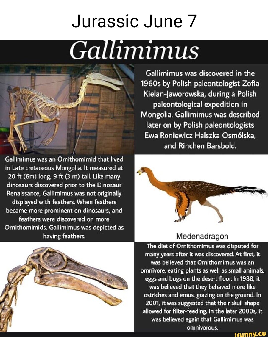 Gallimimus Size
