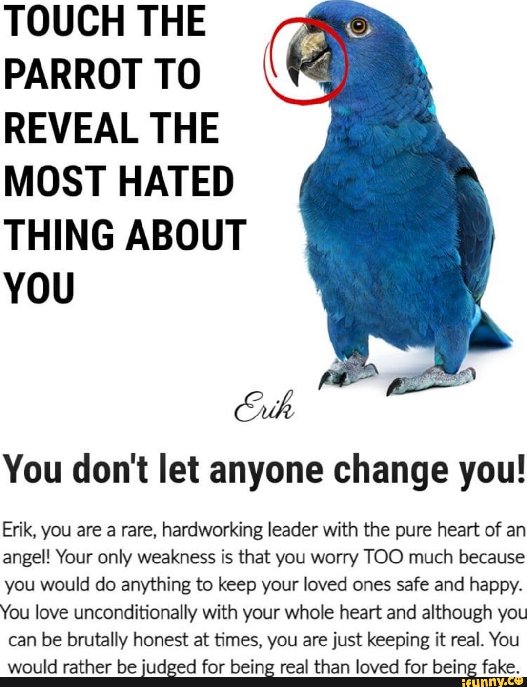 TOUCH THE PARROT TO REVEAL THE MOST HATED THING ABOUT YOU Cu You don't ...