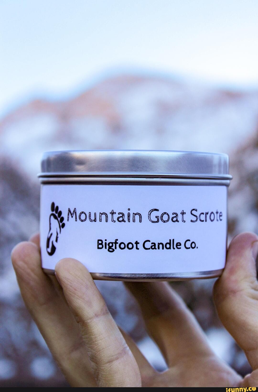 Triumphant and sweaty, the Rocky Mountain goat stands atop towering ...