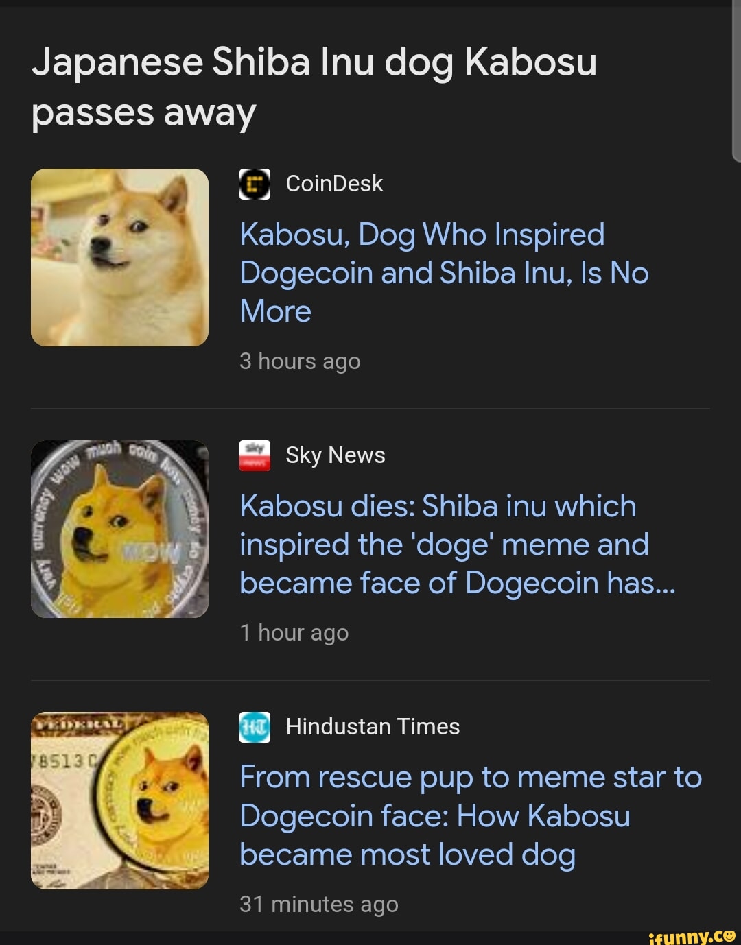 Japanese Shiba Inu dog Kabosu passes away Kabosu, Dog Who Inspired ...