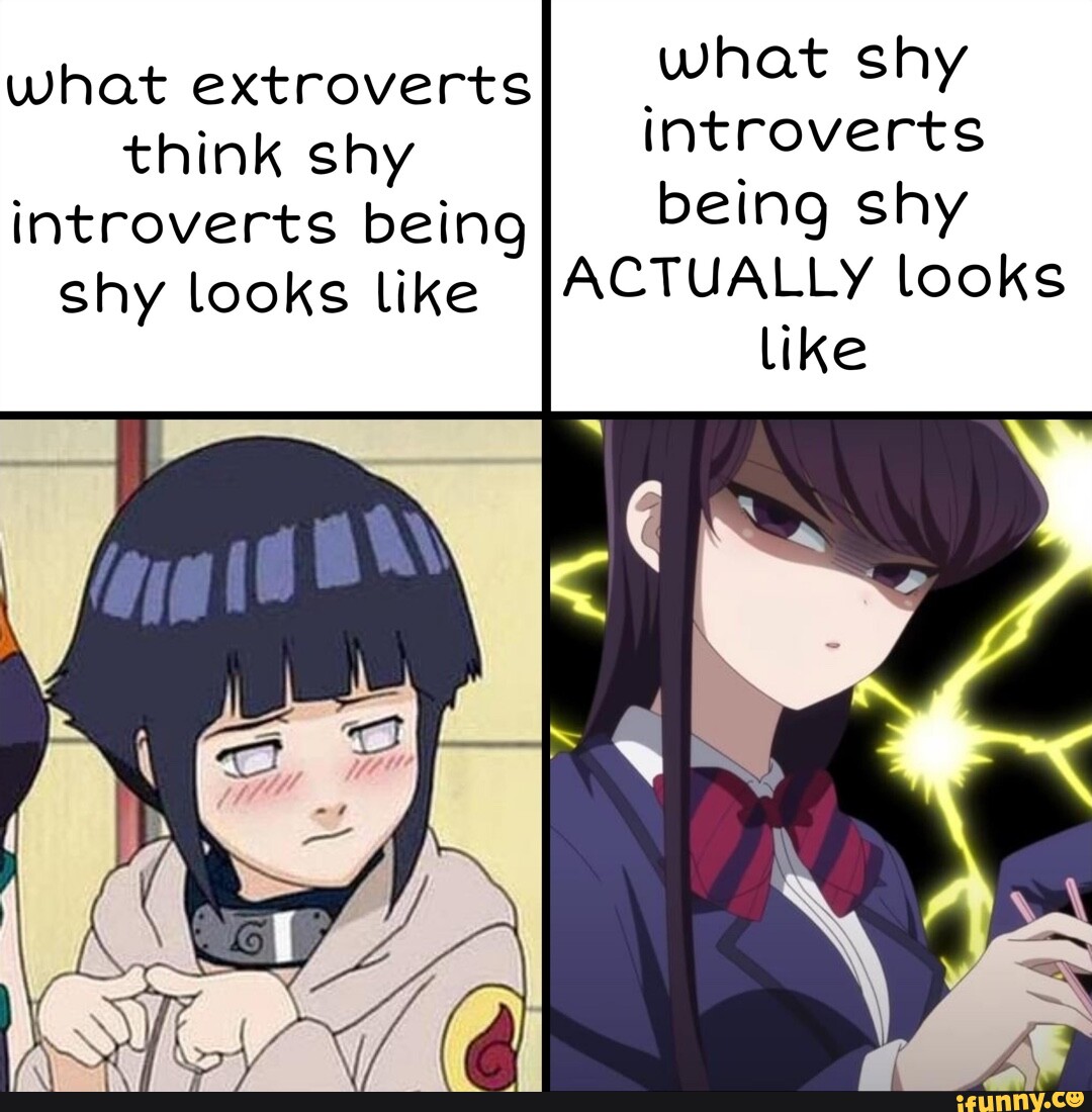 Extroverts memes. Best Collection of funny Extroverts pictures on iFunny