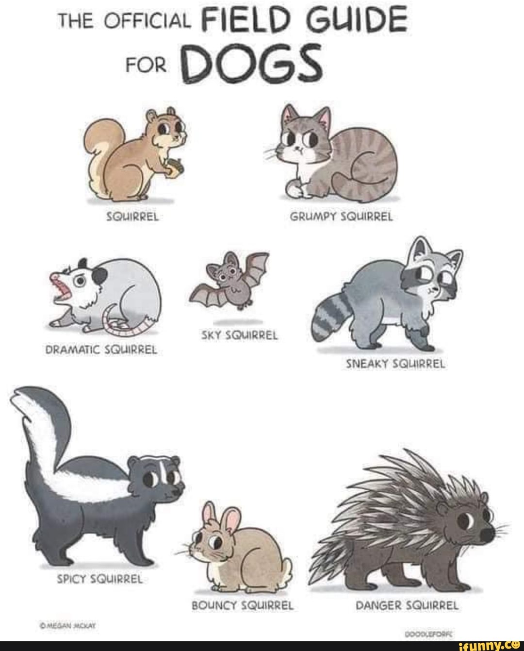 THE OFFiciaL FIELD GUIDE ror DOGS SQUIRREL GRUMPY SQUIRREL SKY SQUIRREL ...