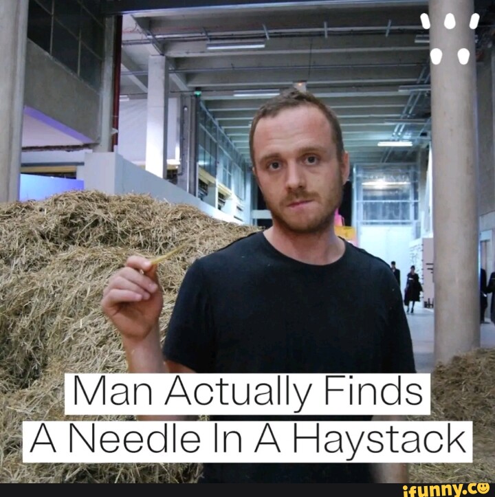 I wt we. . Man Actually Finds A Needle In A Haystack - iFunny