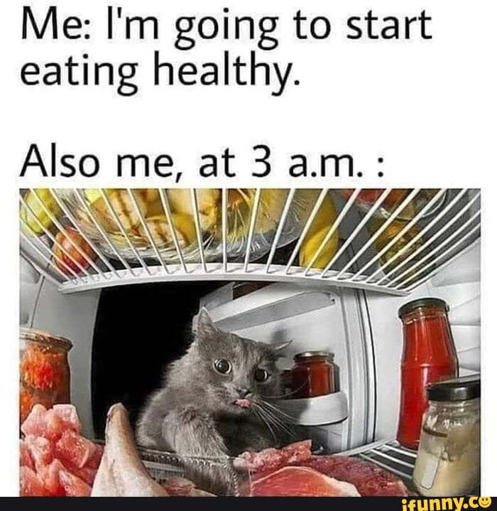Cat_food memes. Best Collection of funny Cat_food pictures on iFunny