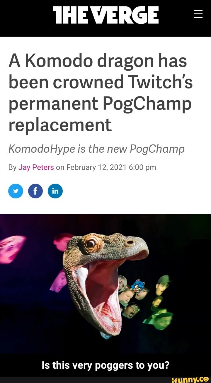 THE VERGE A Komodo dragon has been crowned Twitch's permanent PogChamp replacement KomodoHype is ...