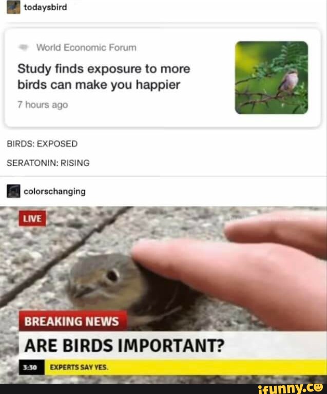 Exposure memes. Best Collection of funny Exposure pictures on iFunny