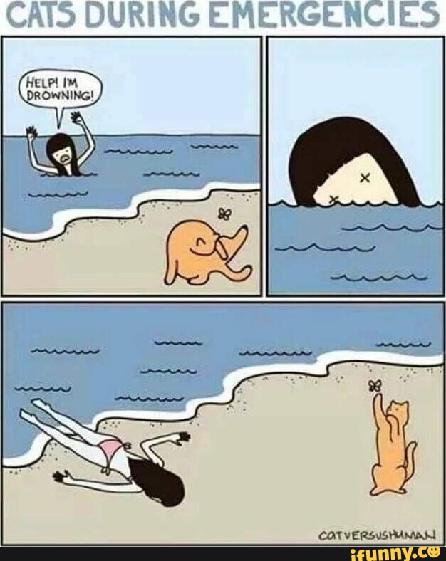 Emergencies memes. Best Collection of funny Emergencies pictures on iFunny