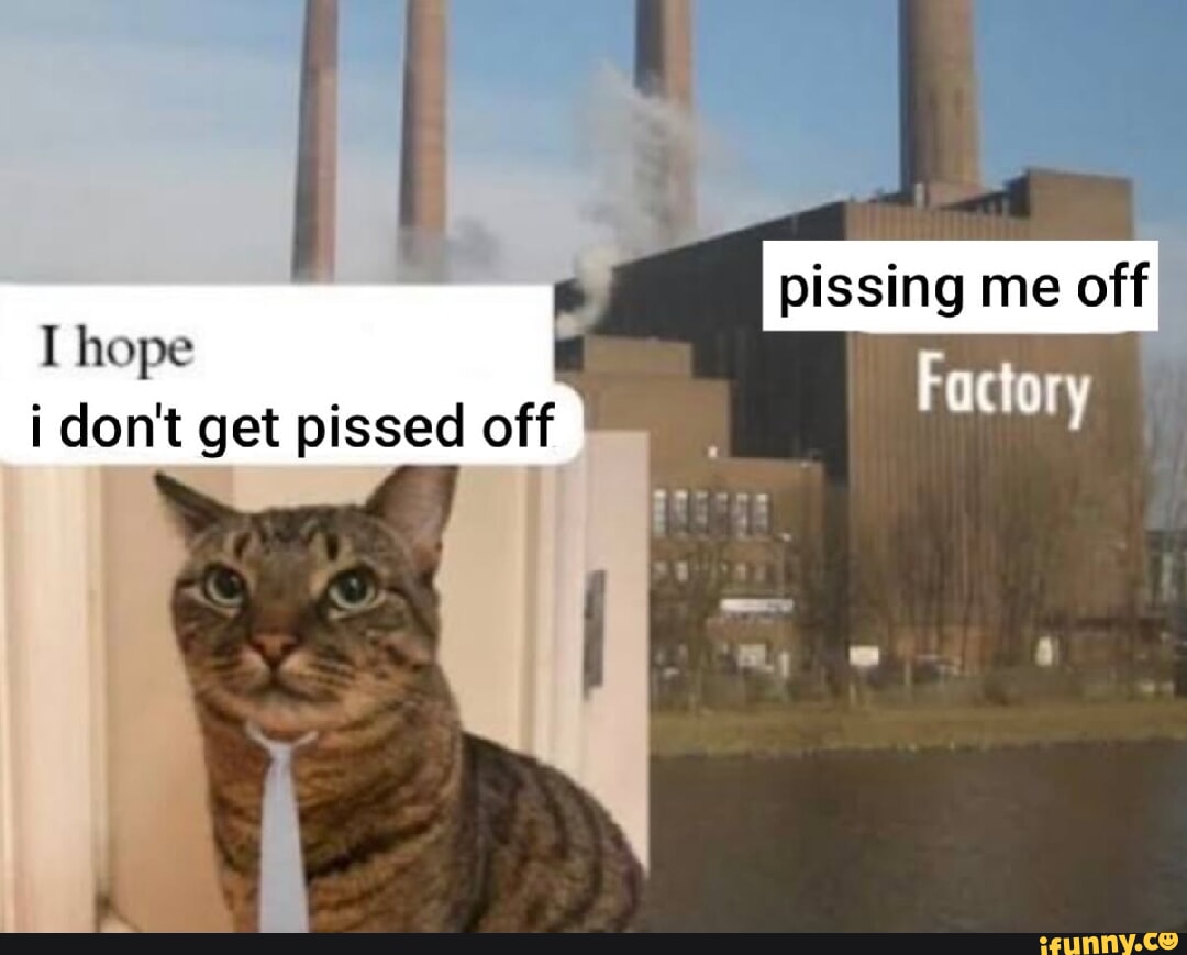 Memes. The best memes on iFunny
