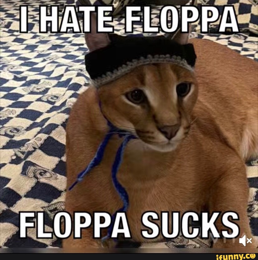 NY BATE. FLOPPA FLOPPA SUCKS, - iFunny