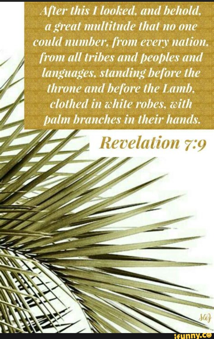 Robes memes. Best Collection of funny Robes pictures on iFunny