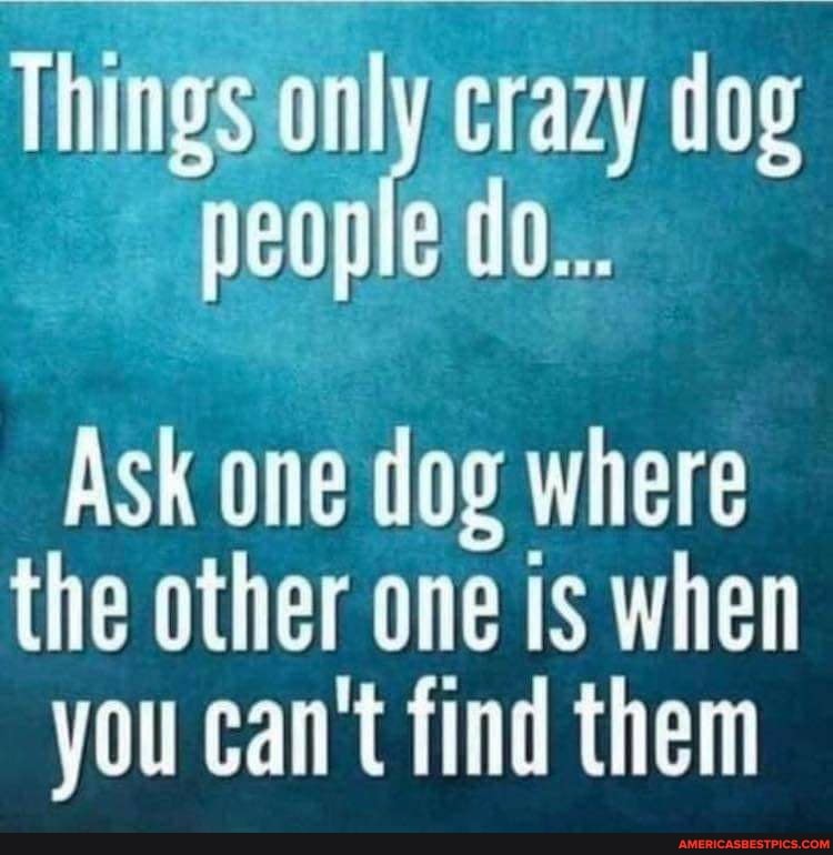 Things only crazy dog people do... Ask one dog where the other one is ...
