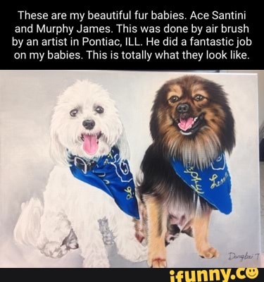 Santini memes. Best Collection of funny Santini pictures on iFunny