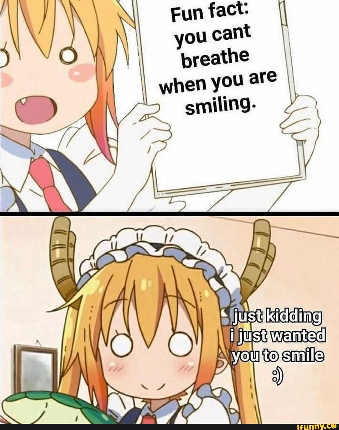 Fun fact: you cant breathe when you are smiling- - iFunny