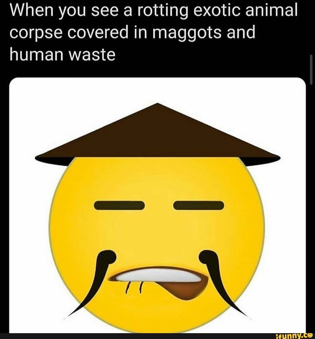 When you see a rotting exotic animal corpse covered in maggots and ...