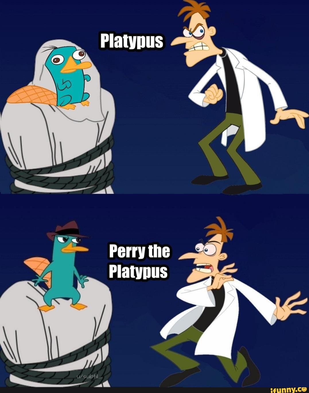 Perry memes. Best Collection of funny Perry pictures on iFunny