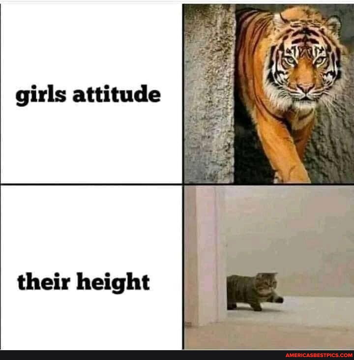 Girls attitude their height - America’s best pics and videos