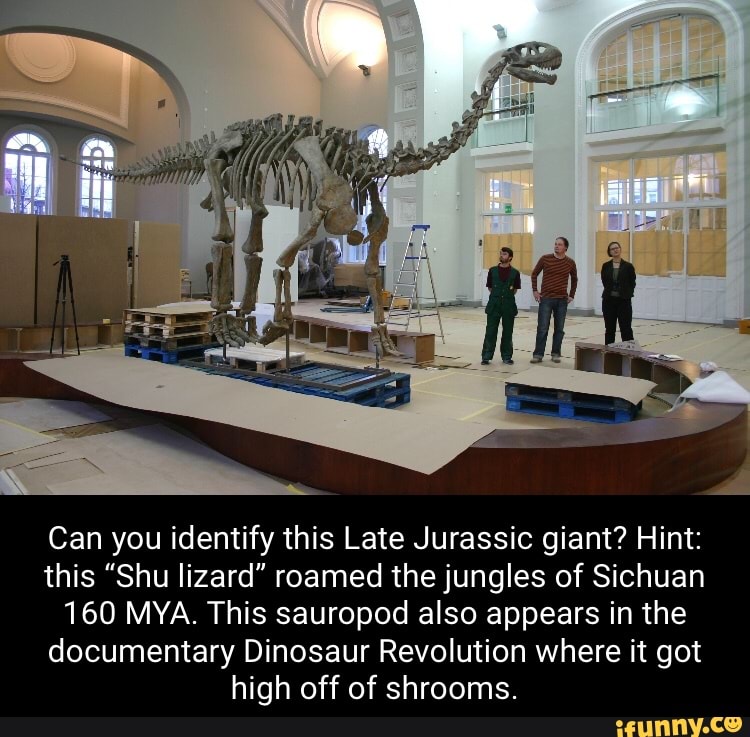 Can you identify this Late Jurassic giant? Hint: this "Shu lizard ...