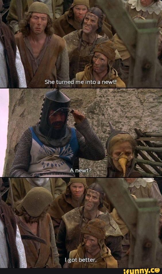 She turned me into newt! - iFunny