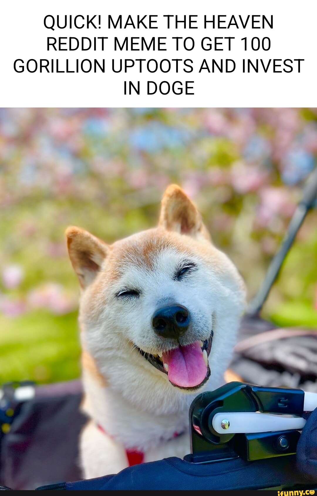 Gorillion memes. Best Collection of funny Gorillion pictures on iFunny