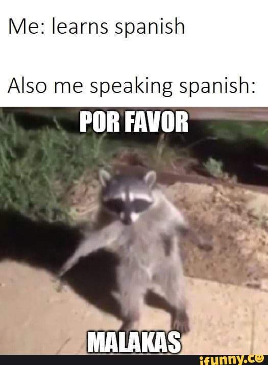 Flechas memes. Best Collection of funny Flechas pictures on iFunny