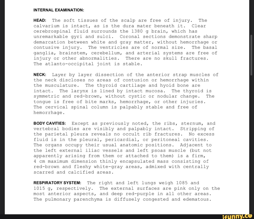 INTERNAL EXAMINATION: HEAD: The soft tissues of the scalp are free of ...