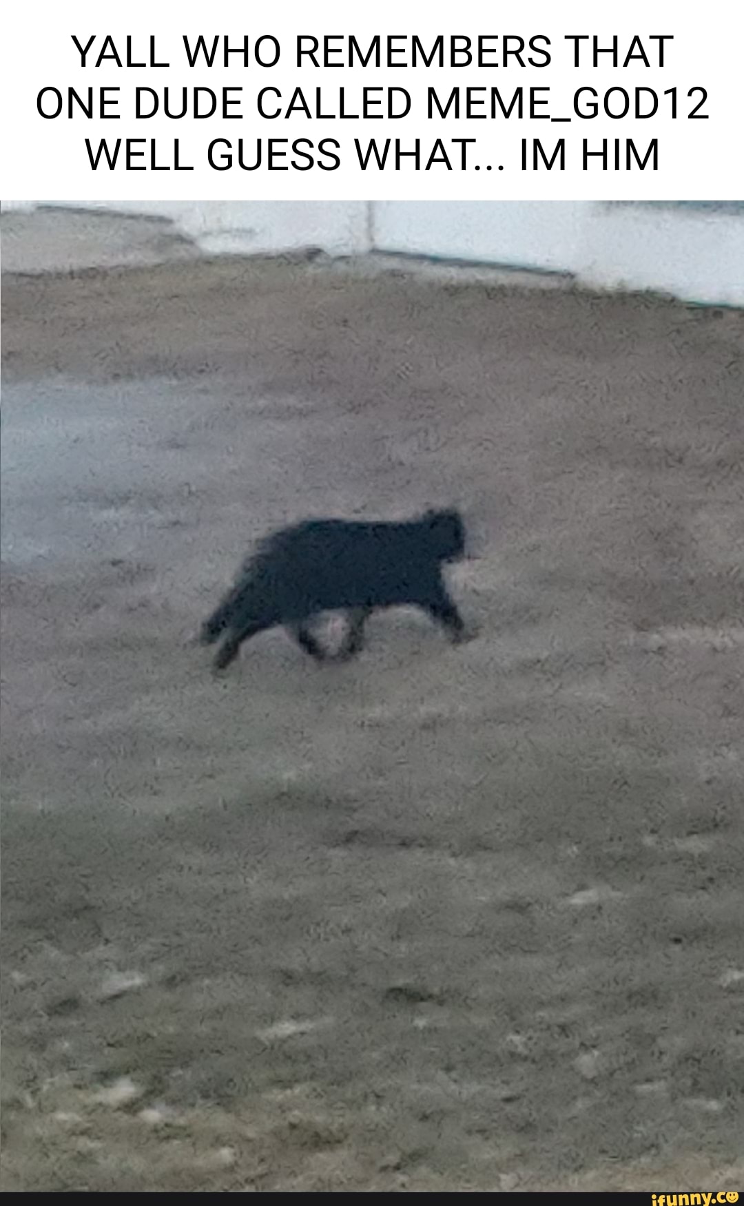 YALL WHO REMEMBERS THAT ONE DUDE CALLED MEME_GOD12 WELL GUESS WHAT ...