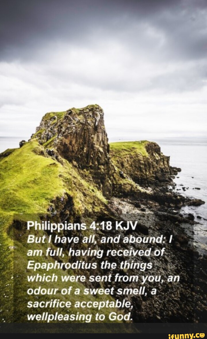Philippians KJV But have all, and abound: I am full, having received of ...