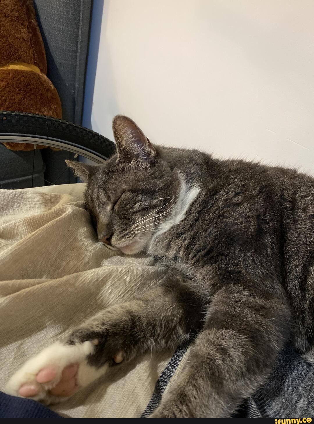 Timba memes. Best Collection of funny Timba pictures on iFunny