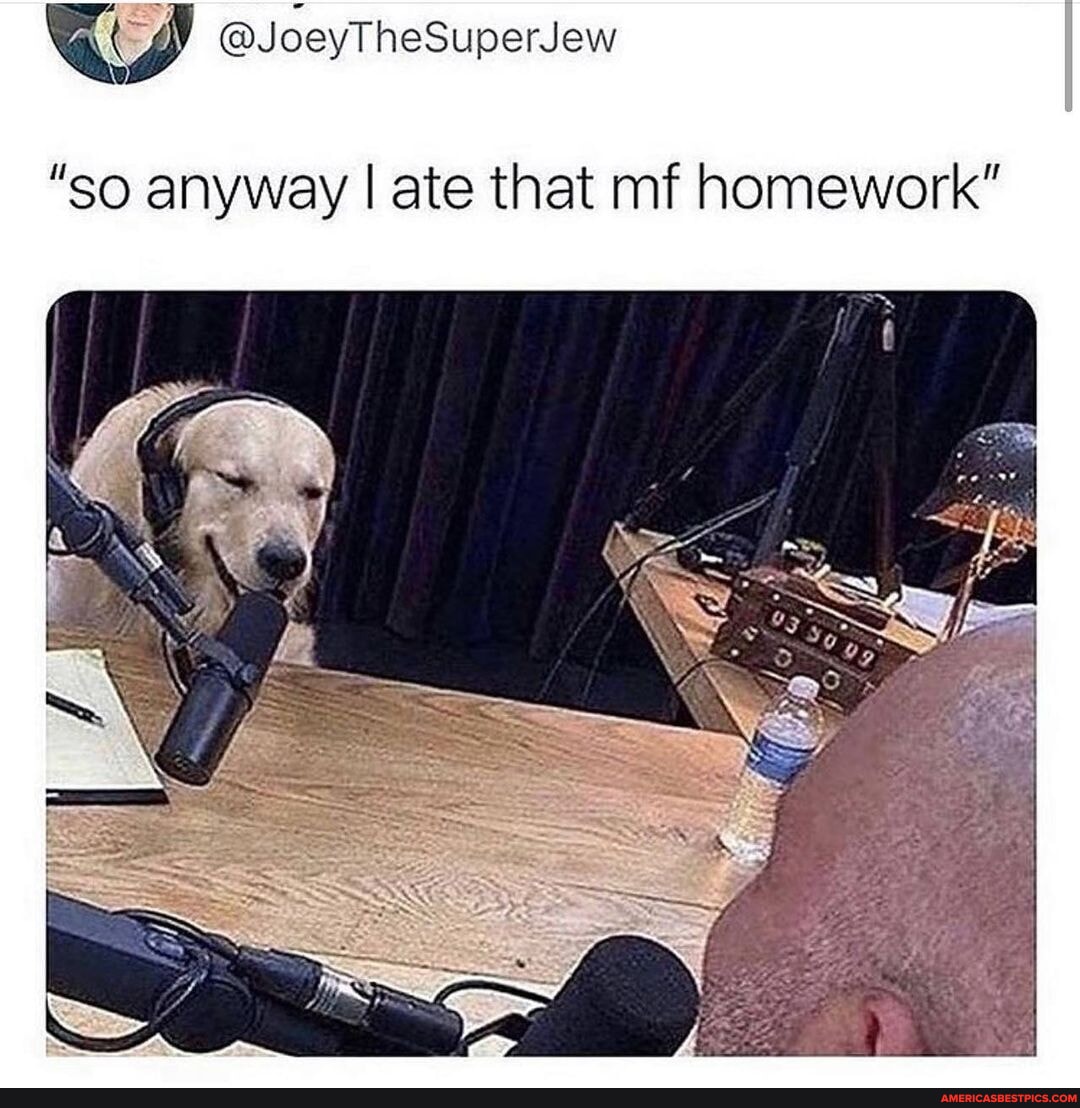 What da dog doin #memes #memesdaily #memesviral #offensivememes #comedy ...