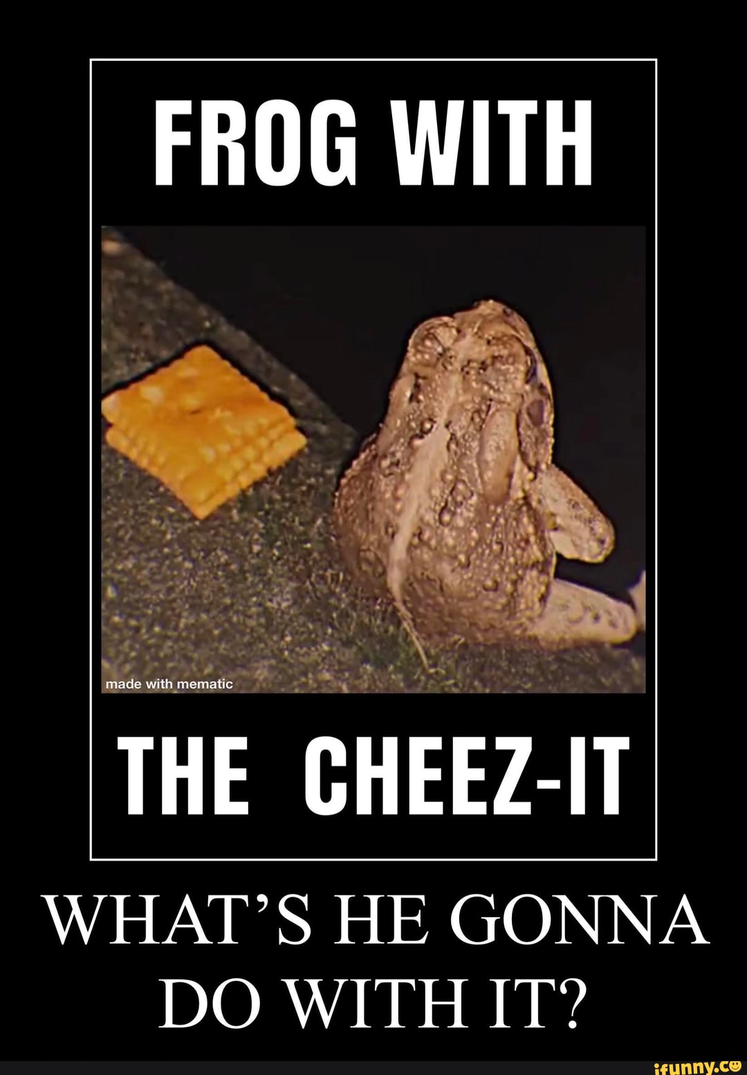 FROG WITH THE with mematic GHEEZ-IT rT WHAT'S HE GONNA DO WITH IT? - iFunny